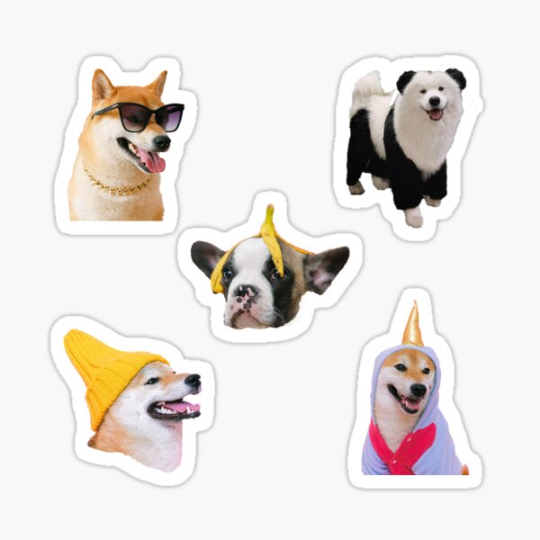 "funny dog sticker pack" Sticker for Sale by Ashi17 | Redbubble