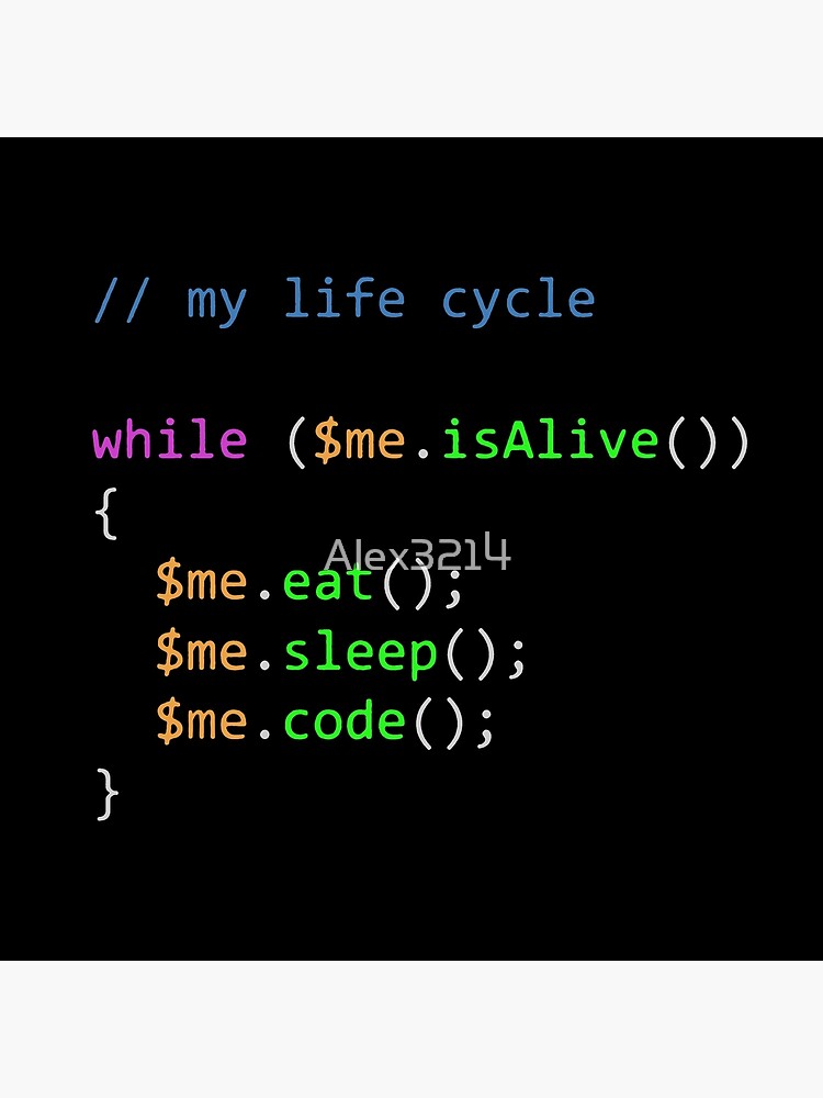 "Life Cycle Eat Sleep Code *HIGH QUALITY*" Poster by Alex3214 | Redbubble