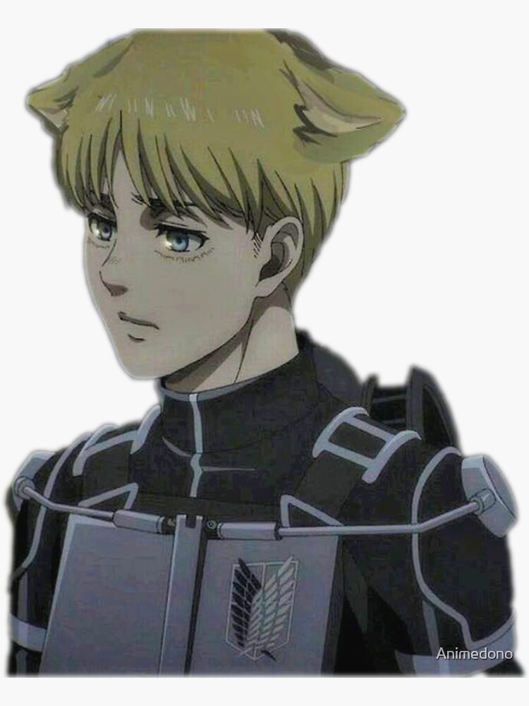 "Armin cat - AOT" Sticker by Animedono | Redbubble