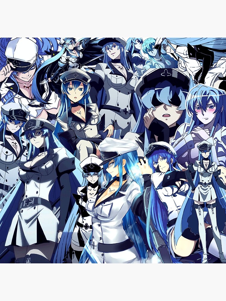 "Esdeath anime collage" Art Print for Sale by cowination | Redbubble