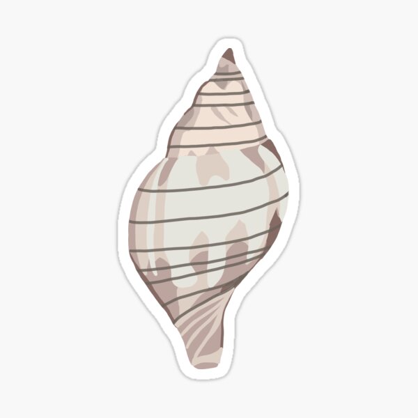 "Conch Shell, Seashell" Sticker for Sale by laurenrdesign | Redbubble