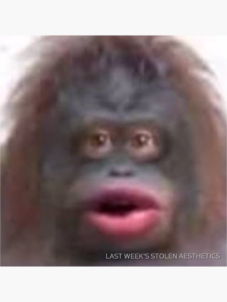 "uh oh stinky face" Sticker for Sale by SRanabhat | Redbubble