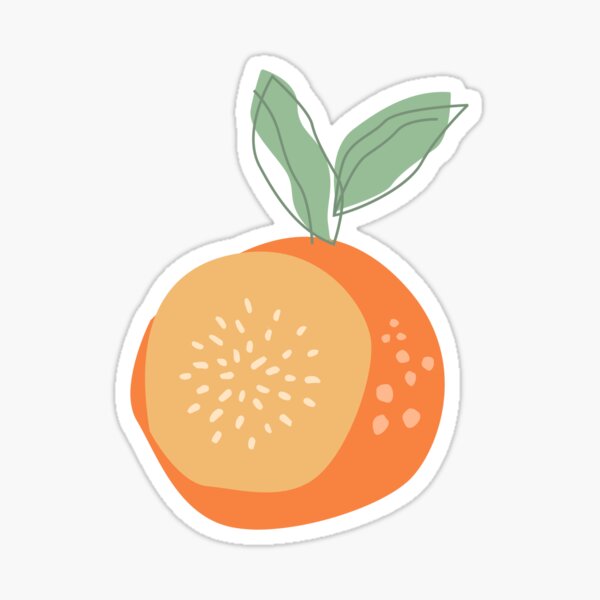 "Cartoon Orange Fruit" Sticker by mimawilkins | Redbubble