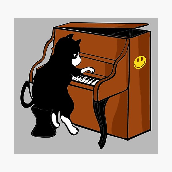 "Piano Cat" Photographic Print by ManuelMonte | Redbubble