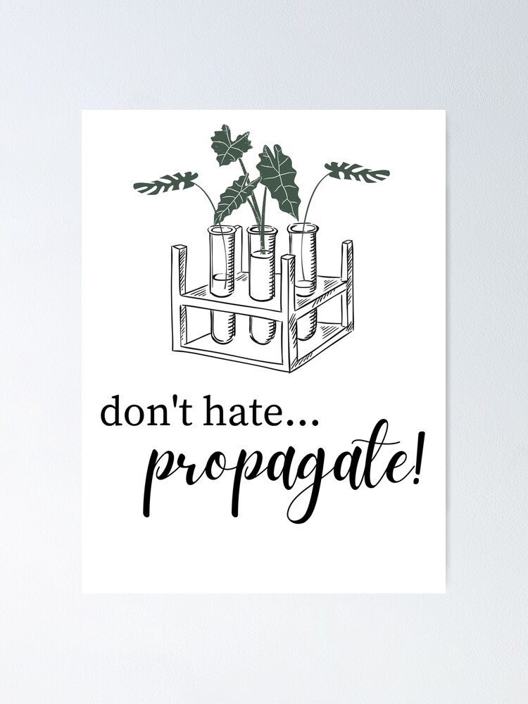 "Don't Hate Propagate! | Plant Propagation | Propagation Station ...