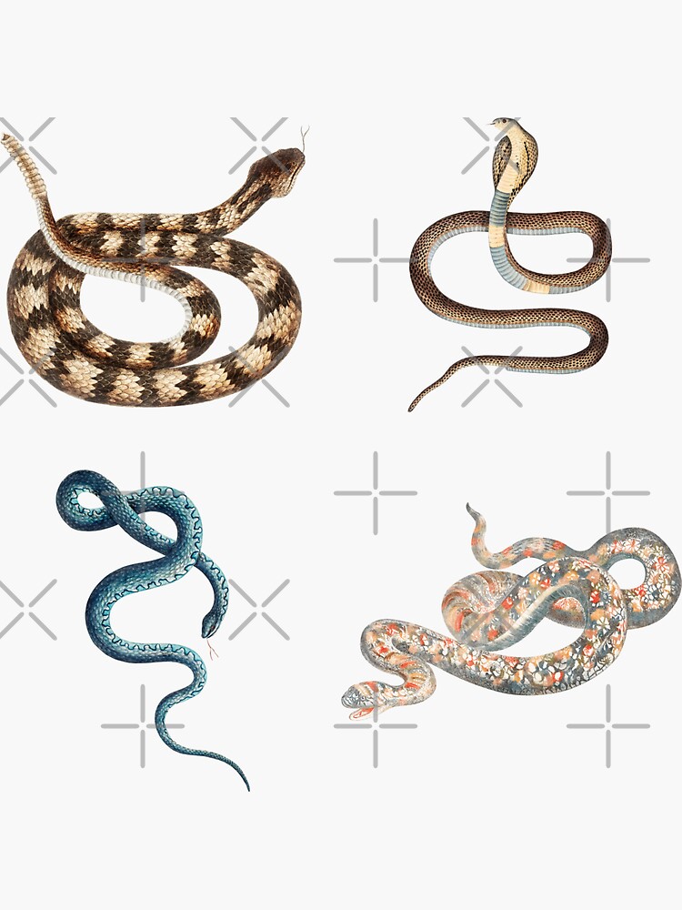 "Super Snakes Sticker Pack" Sticker for Sale by Scubedesign | Redbubble