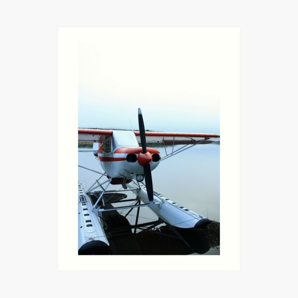 Bush Plane Art Prints | Redbubble