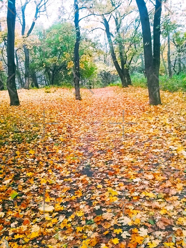 "Autumn forest, fall, natural background " by helenkaiy | Redbubble