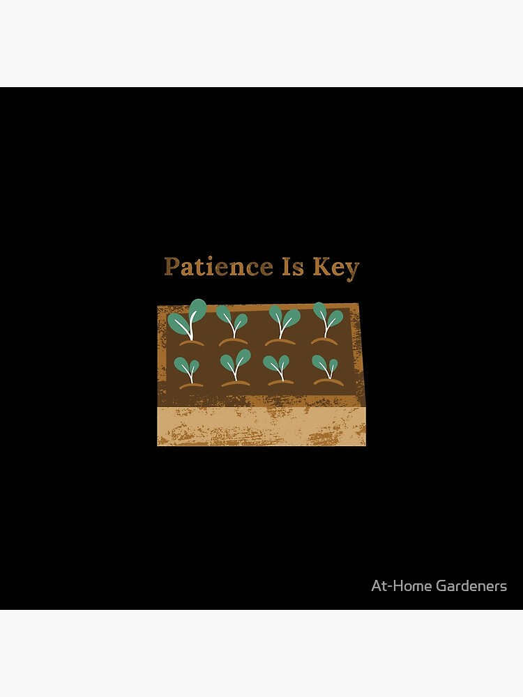 "Patience Is Key" Poster for Sale by linusnuchter | Redbubble