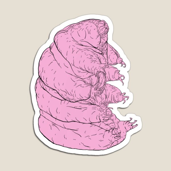 Lice Gifts & Merchandise | Redbubble