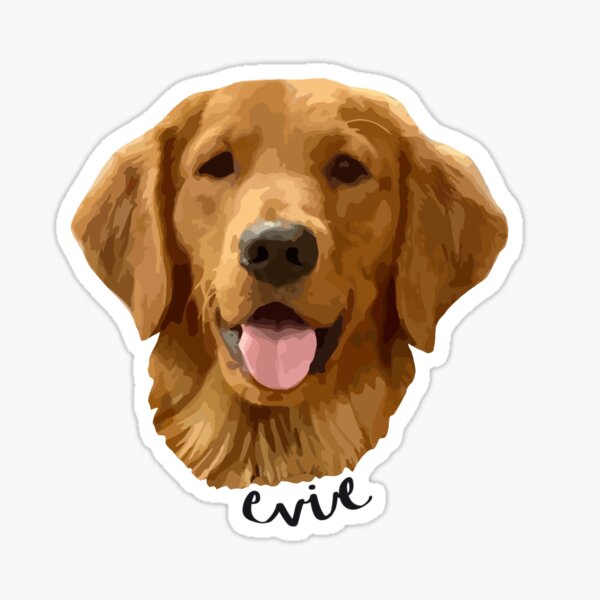 "Golden Retriever - Evie" Sticker by twin-designs | Redbubble