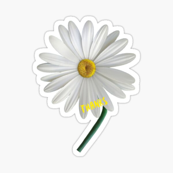 "White daisy flower" Sticker for Sale by Almaram | Redbubble