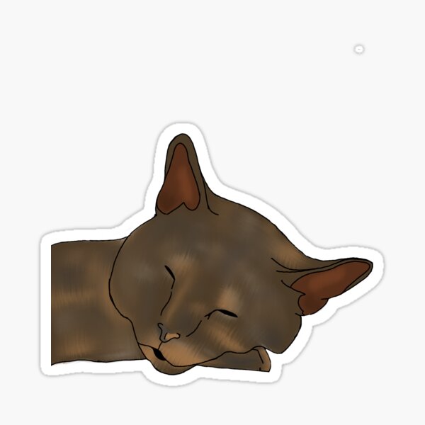 "Realistic Sleeping Cat" Sticker by Dreyology | Redbubble