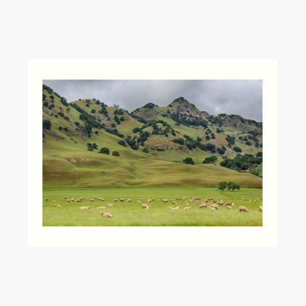 Sutter Buttes Art Prints | Redbubble