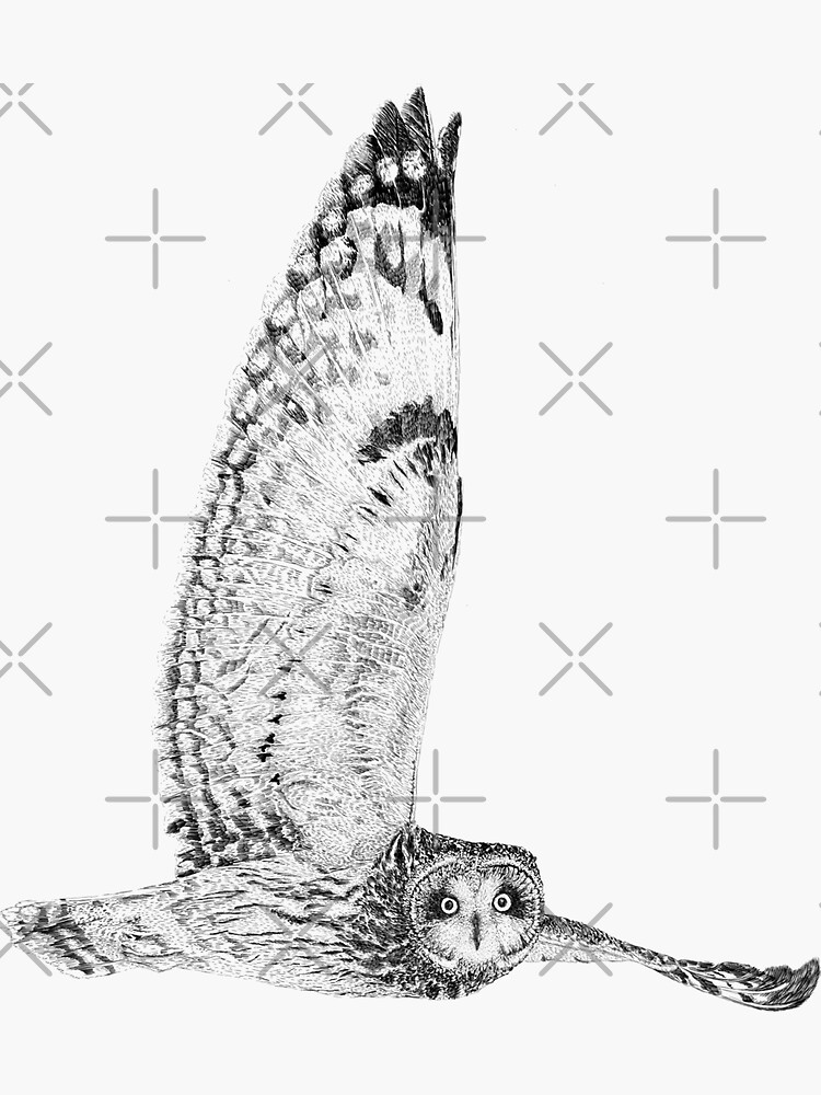 "Realistic flying owl illustration " Sticker for Sale by AKart19 ...