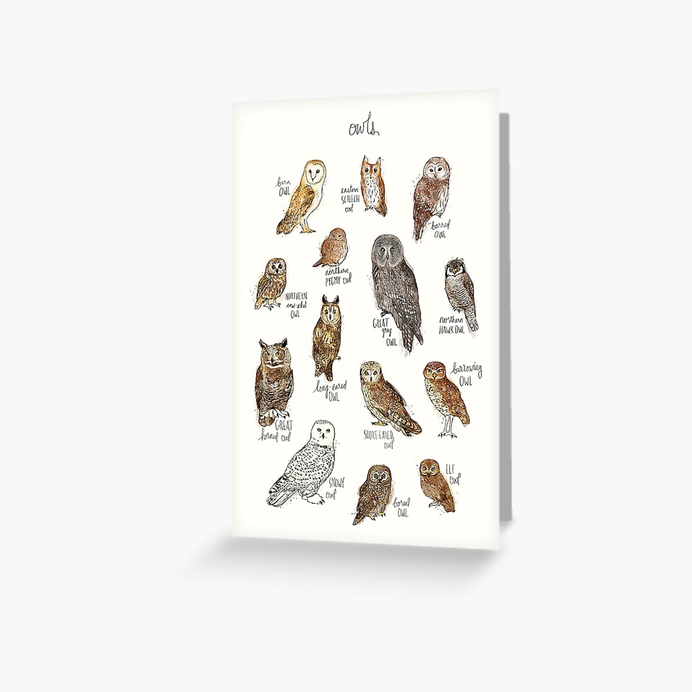 "Owls" Greeting Card for Sale by AmyHamilton | Redbubble