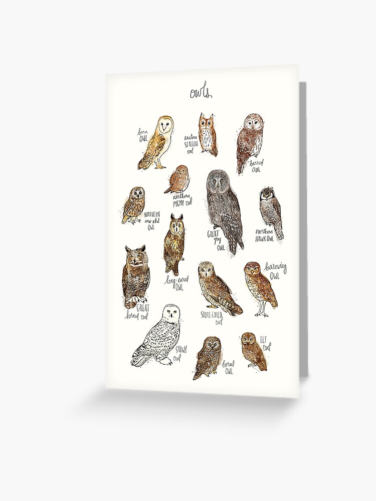 "Owls" Greeting Card for Sale by AmyHamilton | Redbubble