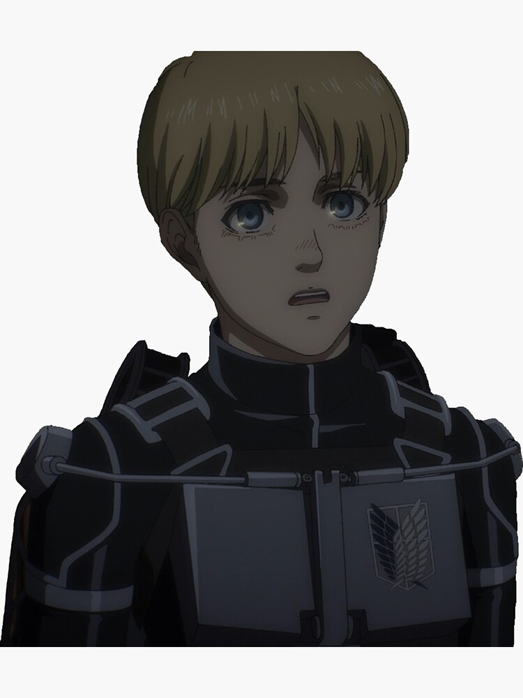 "grown-up Armin" Sticker for Sale by snailhunter66 | Redbubble
