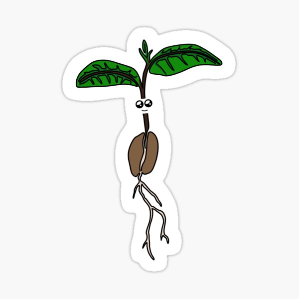 "Cute Personified Avocado Sapling" Sticker for Sale by harjothsoor ...