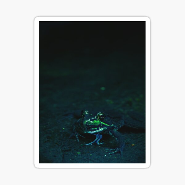 "Neon Frog" Sticker by mijn-bloem | Redbubble
