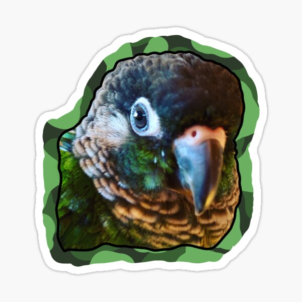 Blorb Gifts & Merchandise | Redbubble