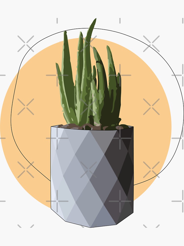 "Aloe Vera Sol" Sticker by darzaga2 | Redbubble
