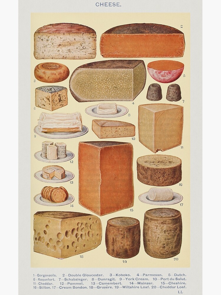 Vintage Cheese Poster Premium Matte Vertical Poster sold by Julio Cesar ...