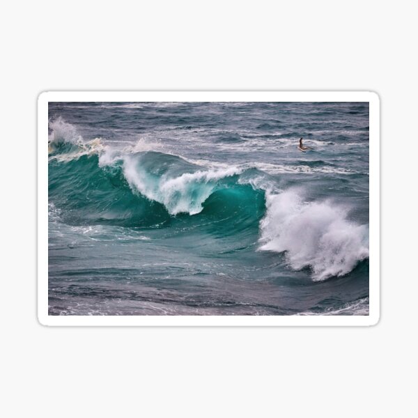 "Beautiful Blue Ocean Wave and Seagull" Sticker for Sale by digoarpi ...