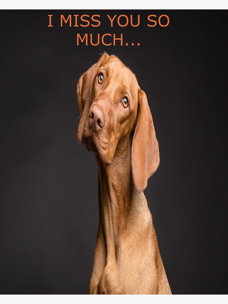 "Sad Dog" Sticker by AlphaMagik | Redbubble