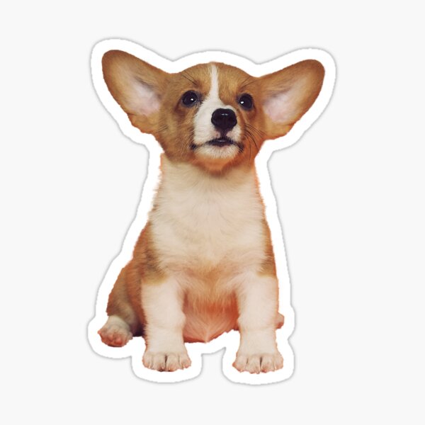 "Puppy - dog - cute - ears" Sticker for Sale by u1le901 | Redbubble
