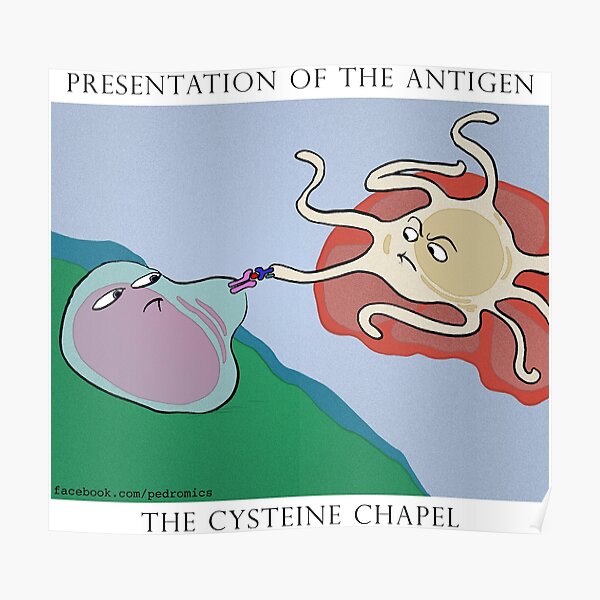 "Cysteine Chapel" Poster by velica | Redbubble