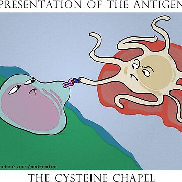 "Cysteine Chapel" Poster for Sale by velica | Redbubble