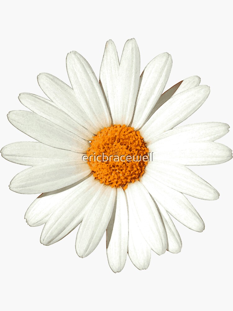 "Daisy" Sticker by ericbracewell | Redbubble