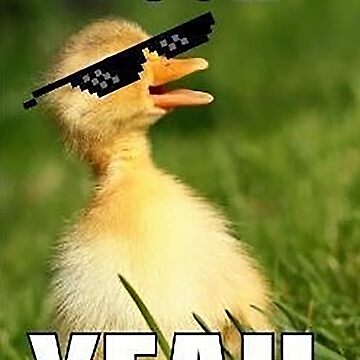 "Duck YEAH" Poster for Sale by Professional Memer | Redbubble