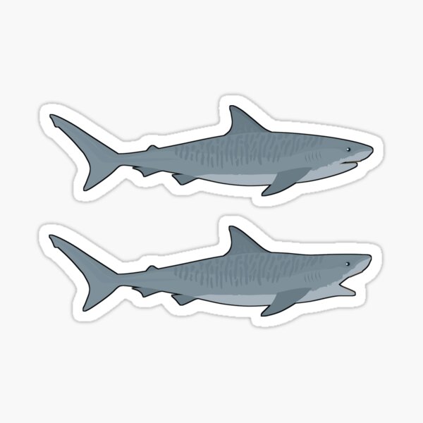 "Blue Shark" Sticker for Sale by Photography-Art | Redbubble