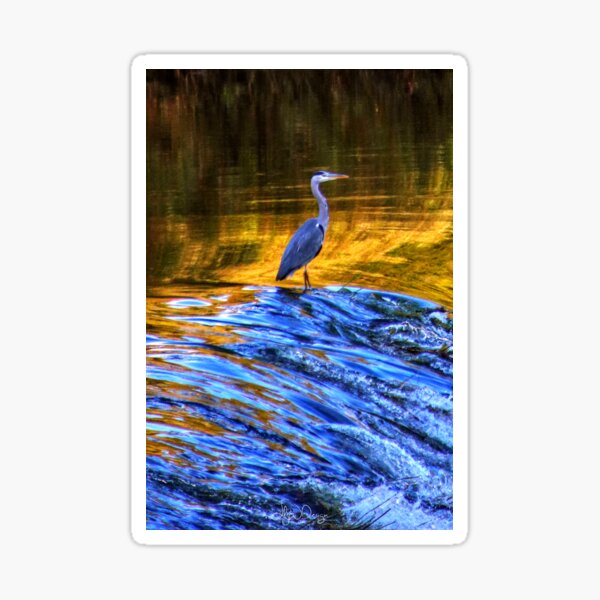 "Heron on the River Boyne - Design 100" Sticker by LJWDesigns | Redbubble
