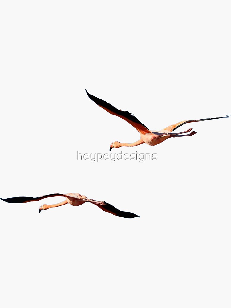 "Flying Flamingos" Sticker for Sale by heypeydesigns | Redbubble