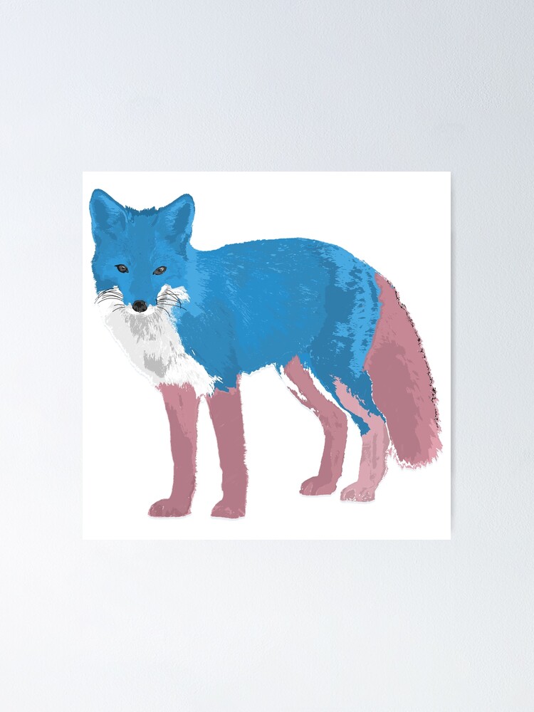 "Transgender Fox" Poster by AjDreamCraft | Redbubble