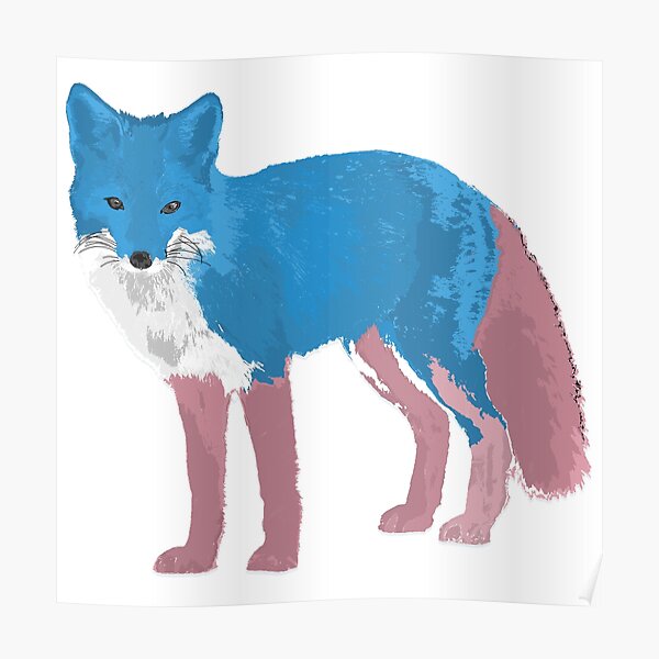 "Transgender Fox" Poster by AjDreamCraft | Redbubble