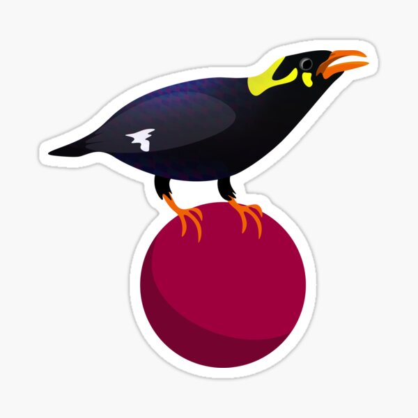 Mynah Gifts & Merchandise for Sale | Redbubble
