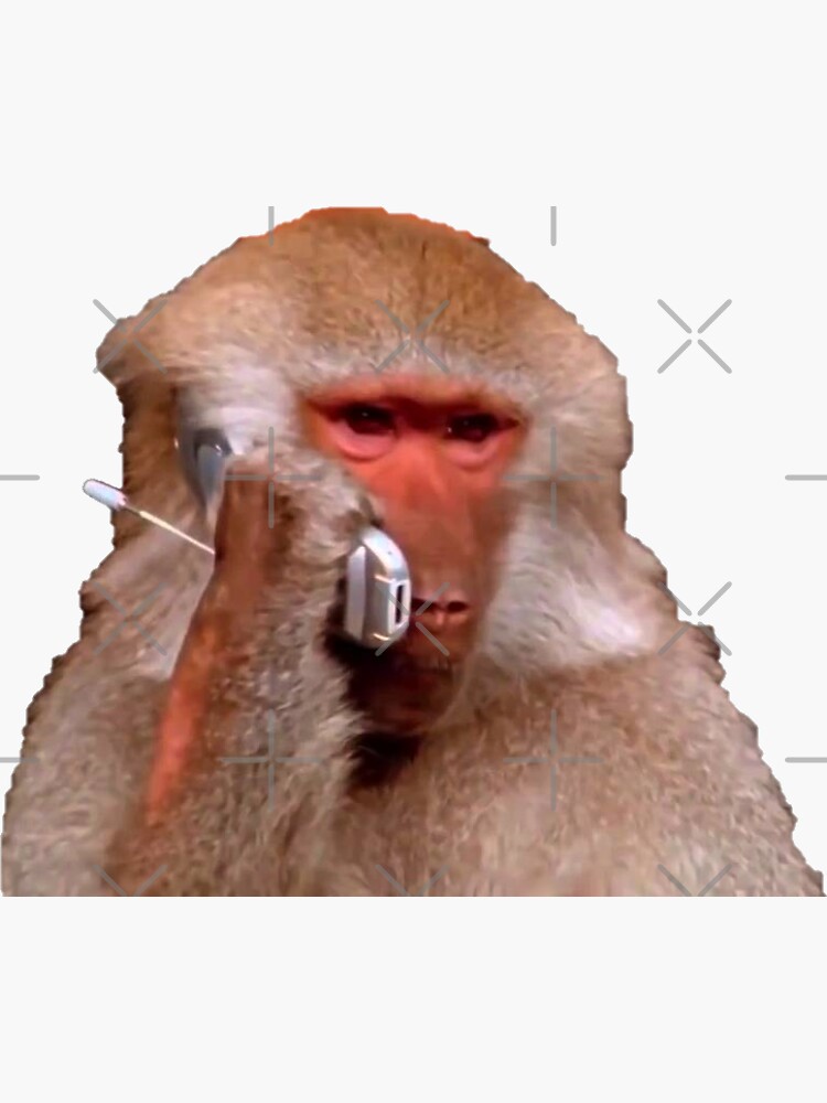 "Monkey on the phone" Sticker for Sale by Skipper295 | Redbubble