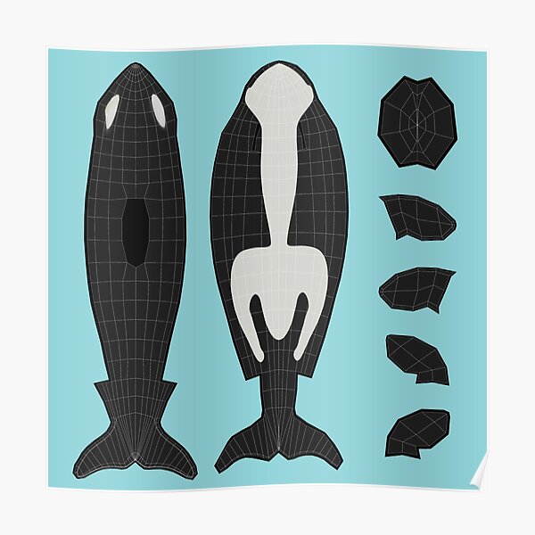 "Killer Whales UV unwrap" Poster for Sale by mtheuniverse | Redbubble