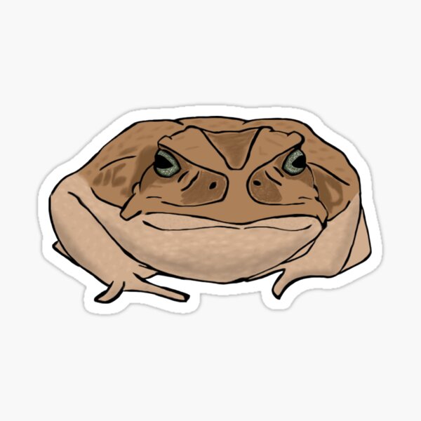 "Grumpy Toad" Sticker for Sale by XenharmonicHors | Redbubble