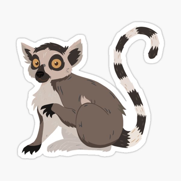 "Lemur ring-tailed lemur" Sticker for Sale by u1le901 | Redbubble