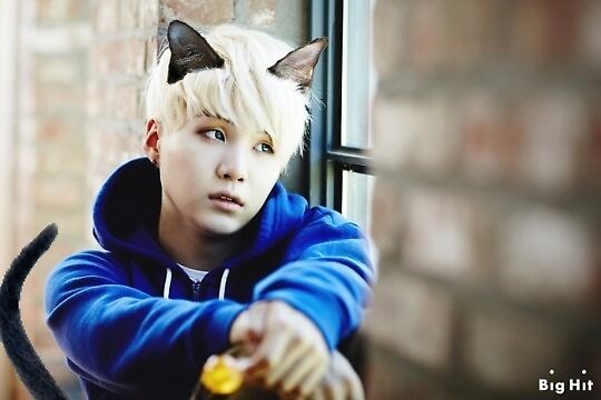 "Neko Atsume Cat Suga BTS" by lyvnie | Redbubble