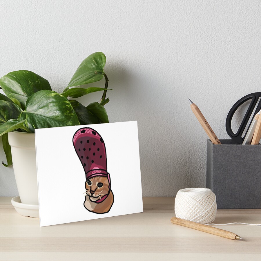 "Tabby cat wearing pink croc on its head" Art Board Print for Sale by ...