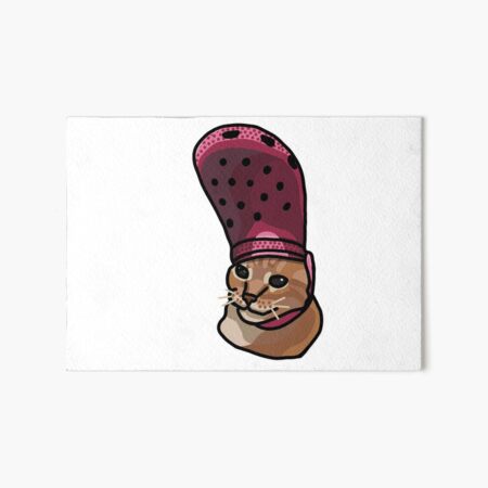 "Tabby cat wearing pink croc on its head" Art Board Print for Sale by ...