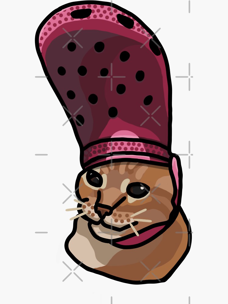 "Tabby cat wearing pink croc on its head" Sticker for Sale by ...
