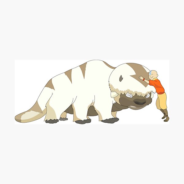 Appa And Aang Photographic Prints | Redbubble