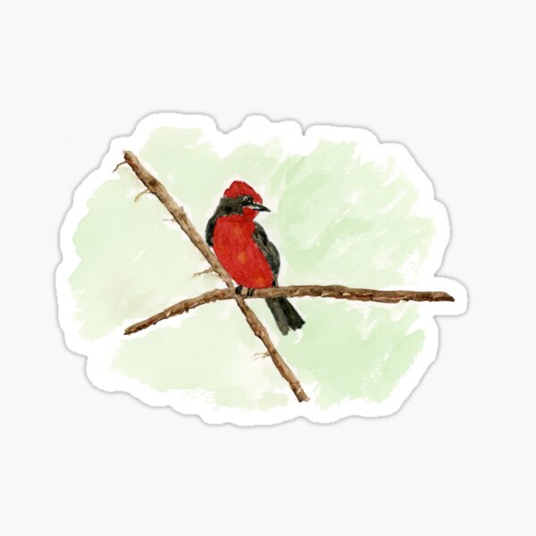 "A Little Red Bird. Red bird Watercolor Painting Art " Sticker for Sale ...